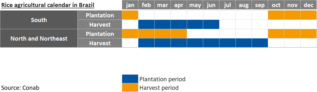rice calendar - Camil